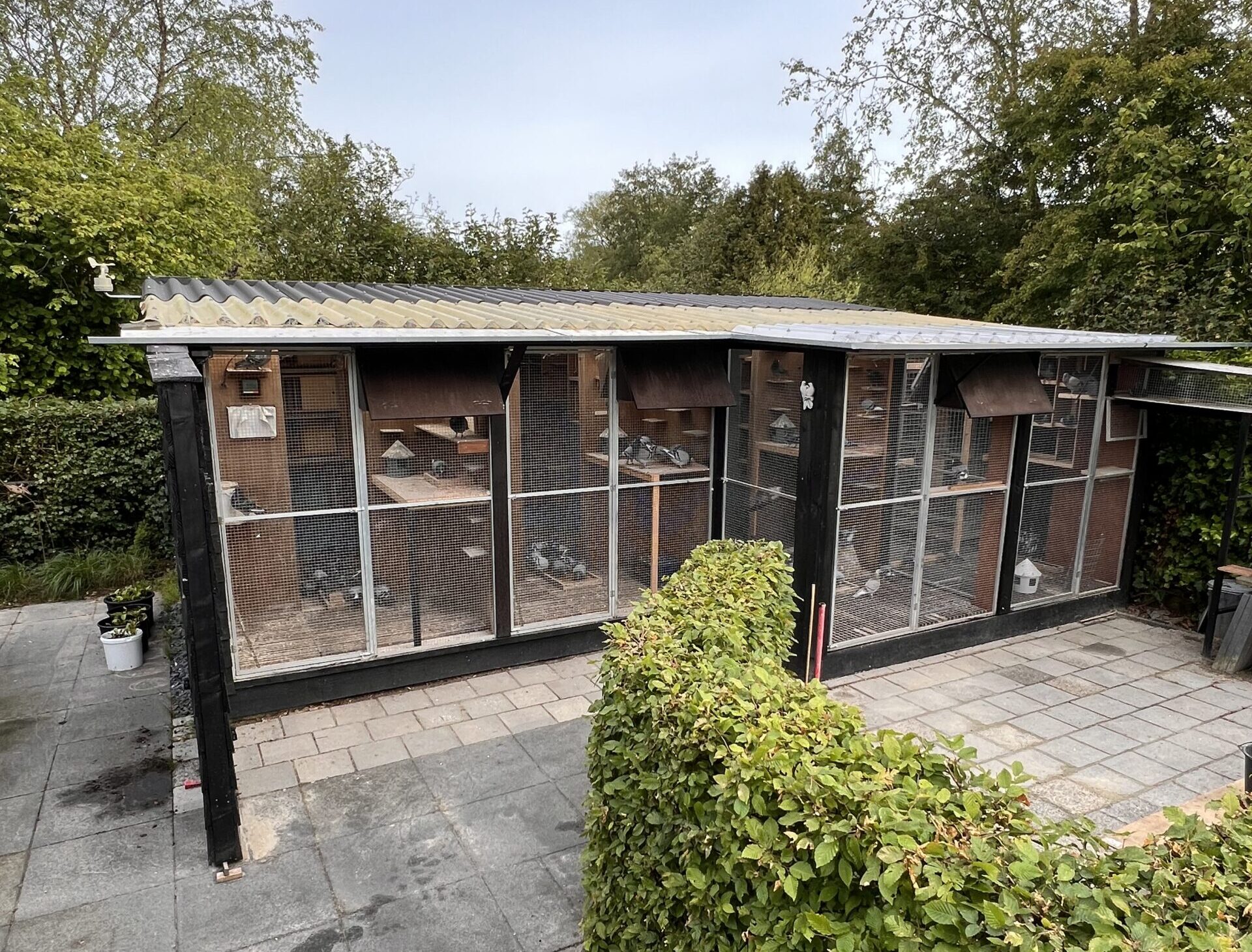 Handleiding Postduivensport – Stichting Behoud Duivensport